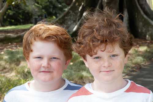Hendry Family Profile